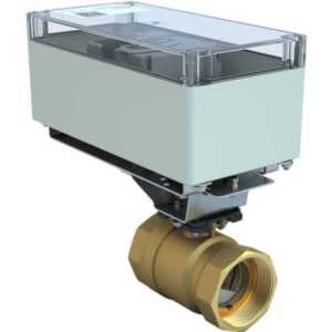 kele.com | Bray EBV-2-2-96/VAM24-90-P-WS | Control Valves | Ball Valves