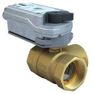 kele.com | Bray EBV-2-3-75C/DCMS24-62-A | Control Valves | Ball Valves
