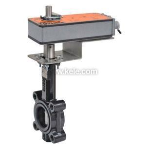 kele.com | Belimo F650HD+AFX24-MFT-X1 | Control Valves | Butterfly Valves